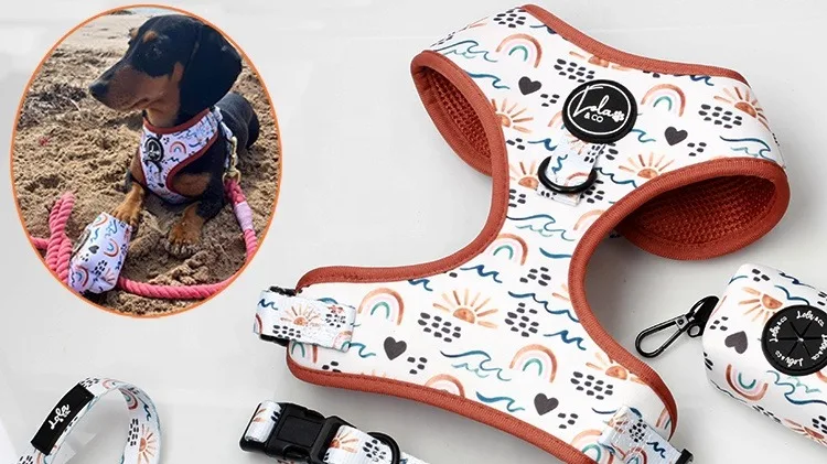 Custom Design Dog Harness And Matching Collar Leash Bow Tie Bandana ...