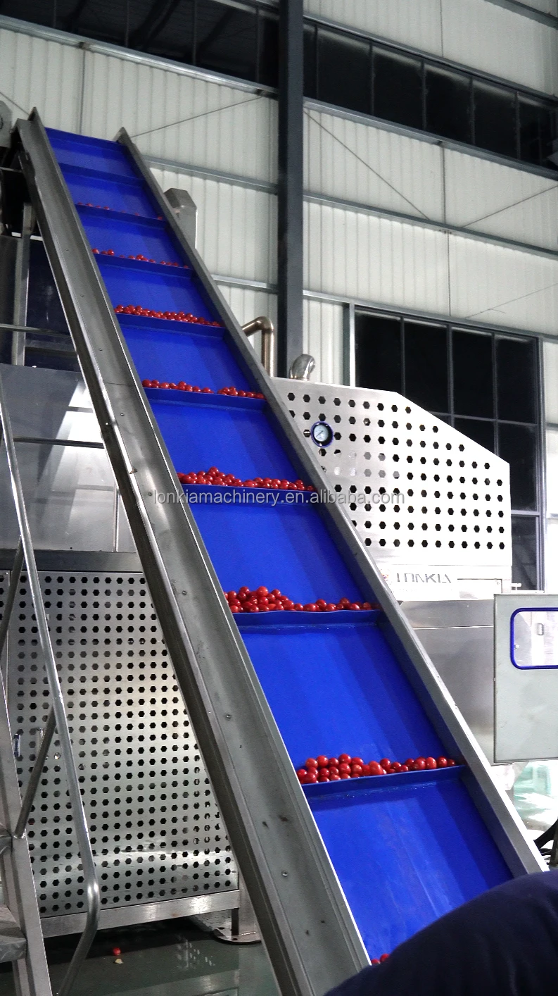 High Productivity Steam Peeling Machine for Sweet Potatoes