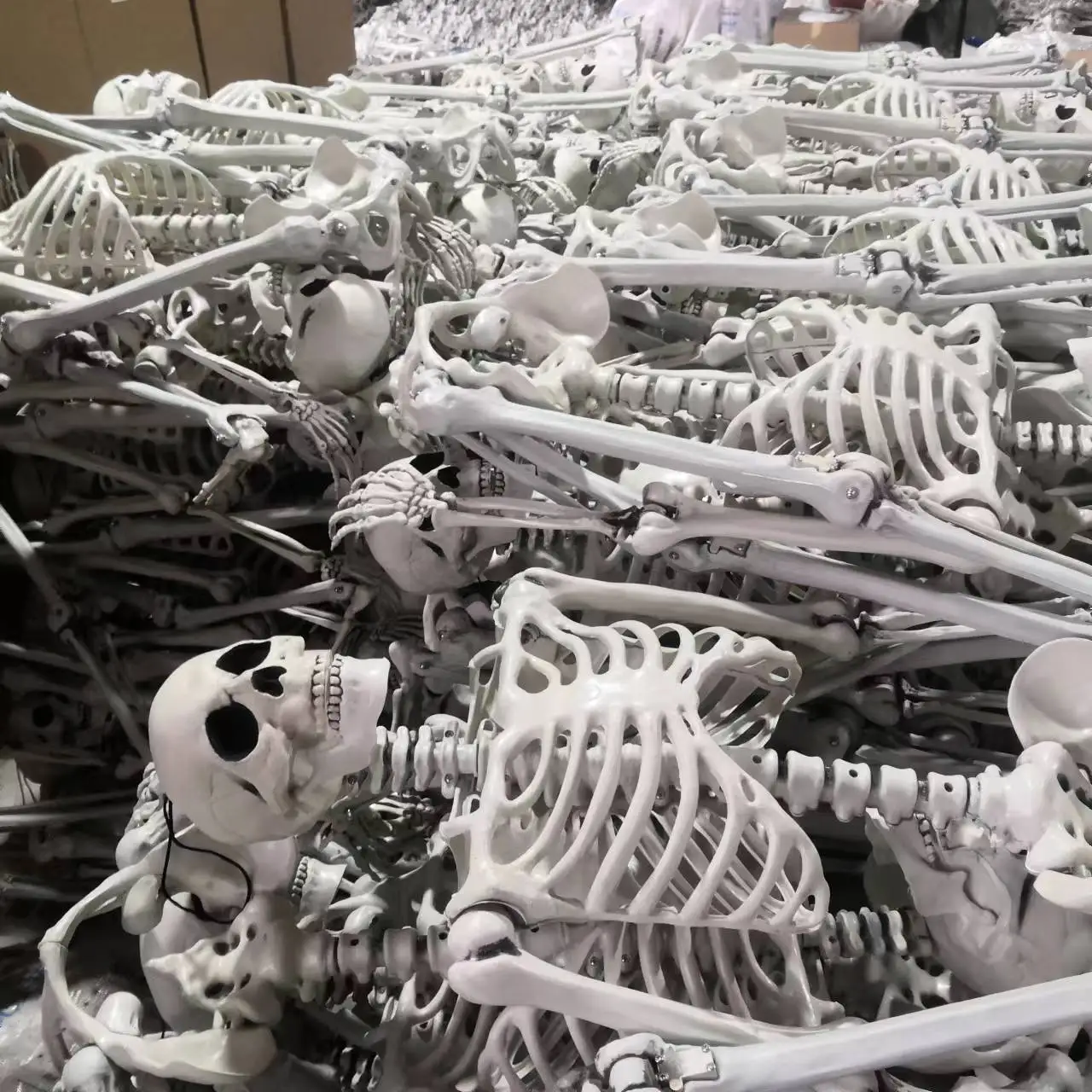 6ft 185cm Pose Skeleton Prop - Realistic Halloween Decor