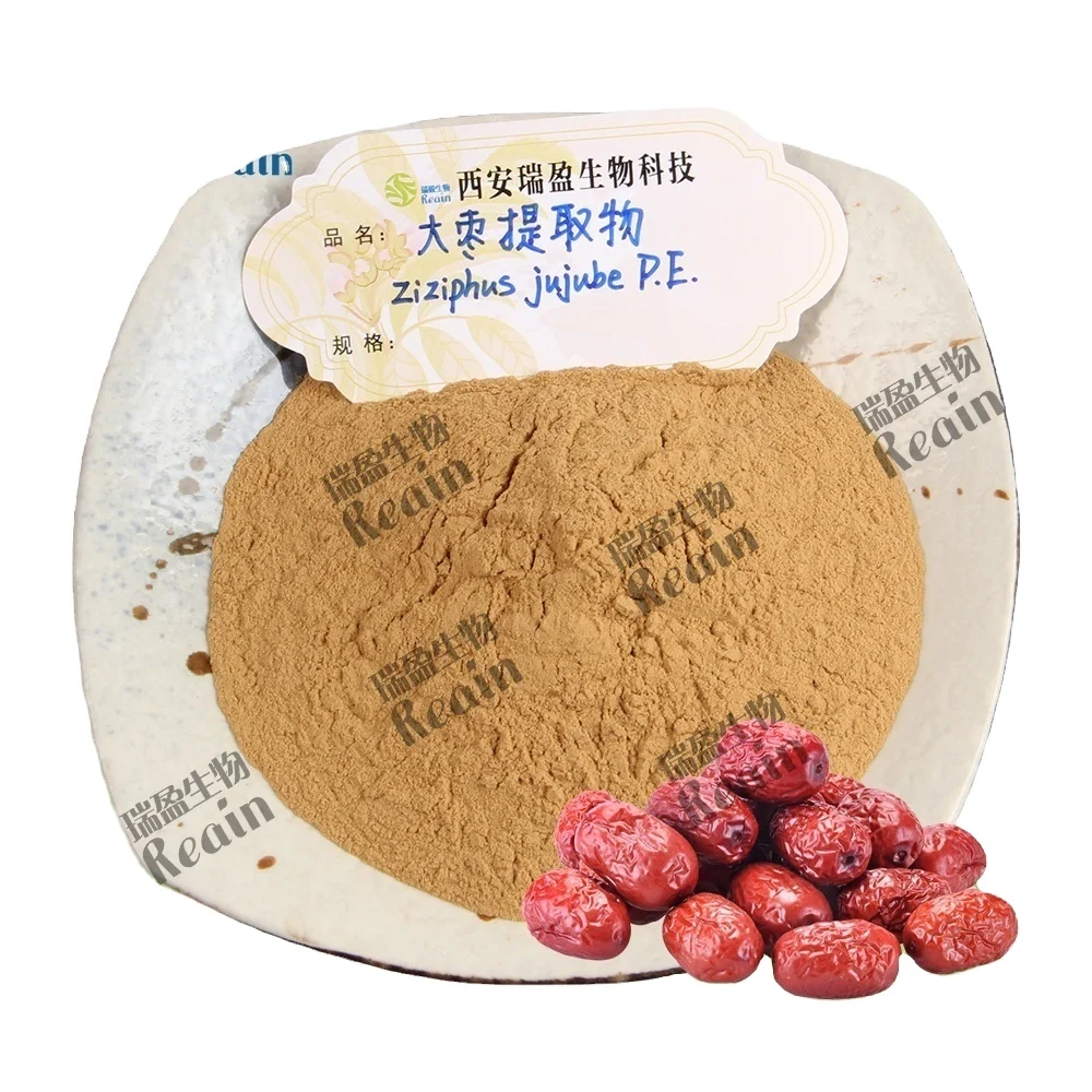 Bulk Supply Natural Jujube Fruit Extract 10:1 Powder