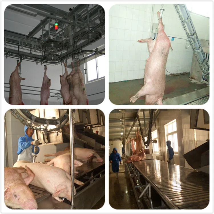 Slaughtering Hook for Pig Carcass Processing - High Safety