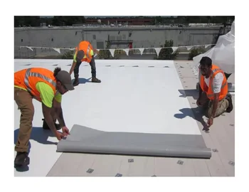 White Gray 10 Feet Wide 45 Mil 60 Mil 80 Mil Thickness Tpo Waterproof ...