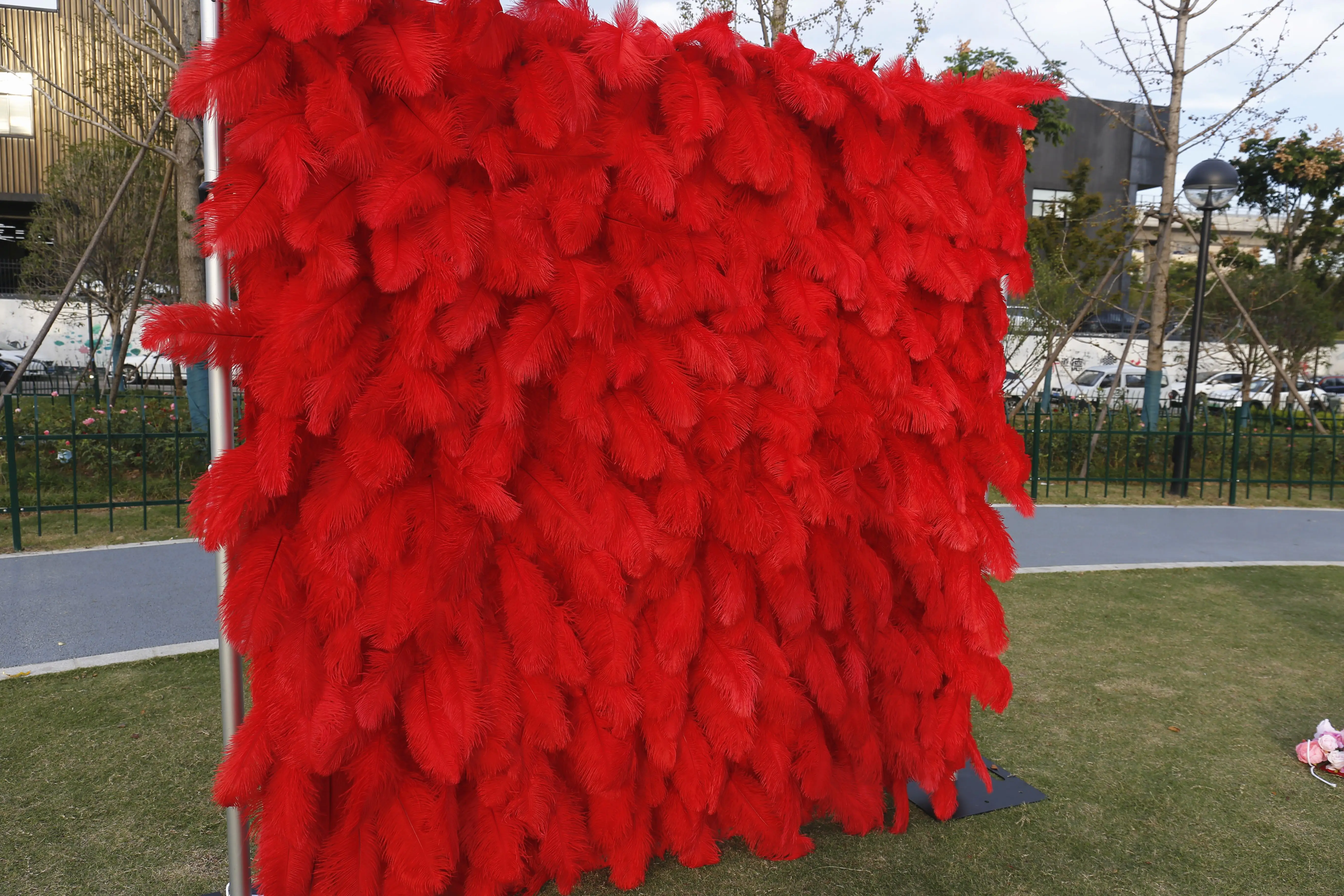 Best Effect Sturdy Live Broadcast Background, Shooting Background Red ...