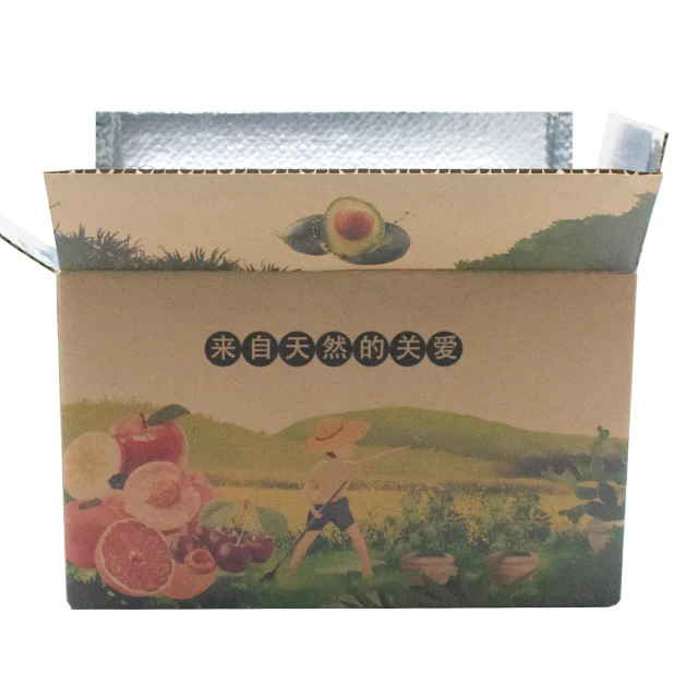 Insulated Food Cooler Packaging Carton Boxes For Transporting Frozen ...