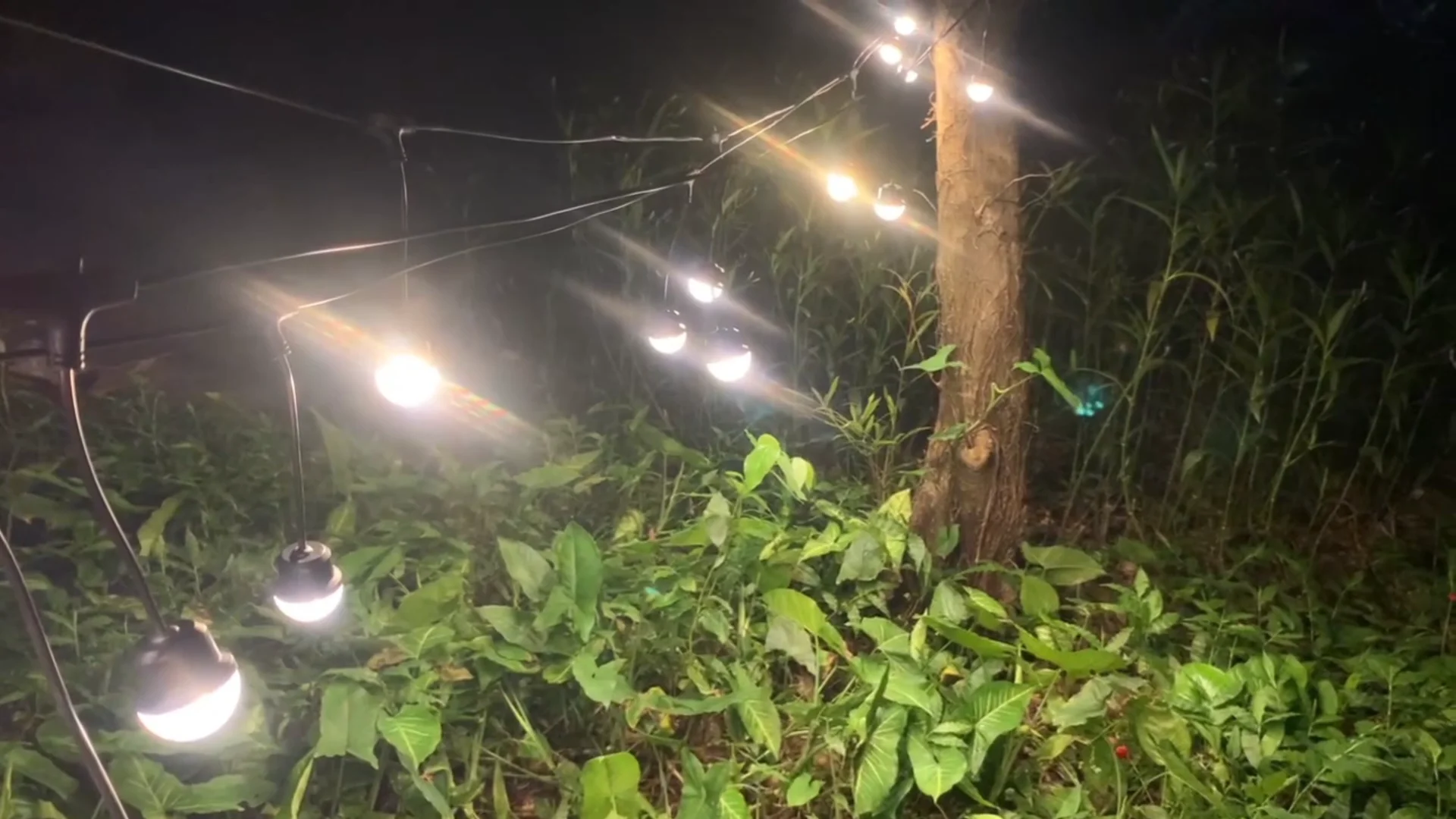 Oem Led Light String Camping Garland 32ft 10 Bulb Rgb White Patio ...