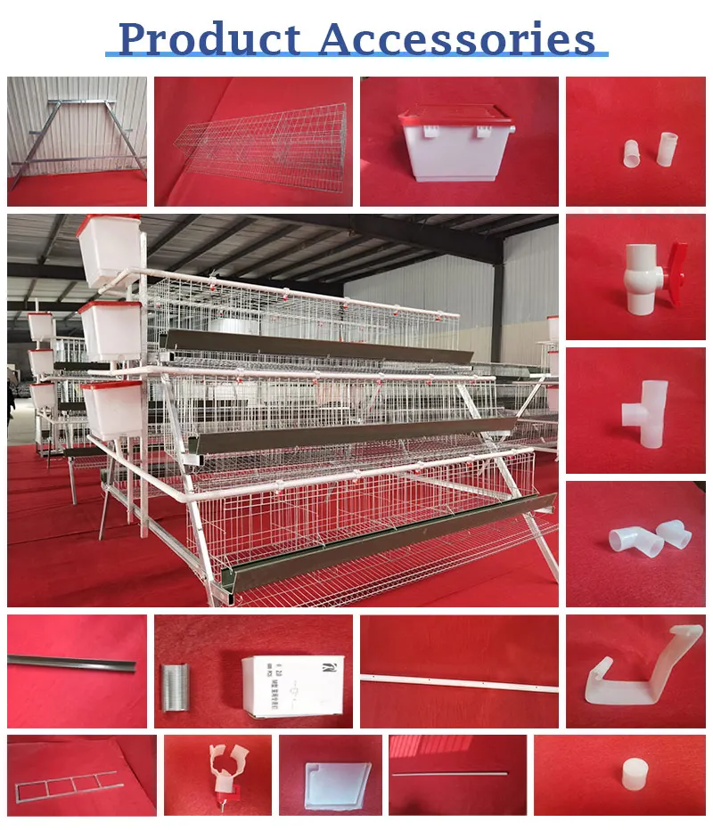 Poultry Cage - Automatic Chicken Cages for Poultry Farms