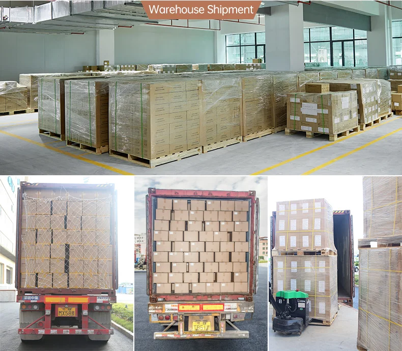 Tamper Evident Security Bags - Reliable for Banking & Testing