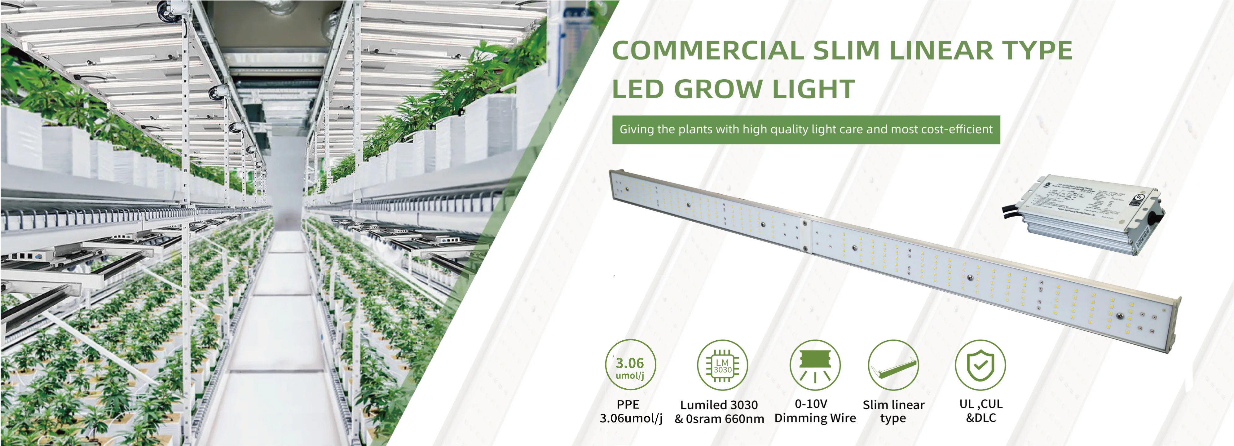 Dimmable Full Spectrum Grow Lights for Greenhouse Success