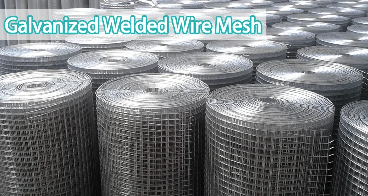 Hardware Cloth - Durable Welded Wire Mesh for Fencing