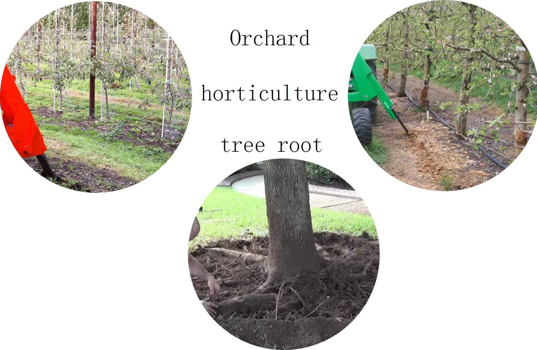 Tractor Towed 3 Point Mounting Mounted Hydraulic Root Prune Pruning ...