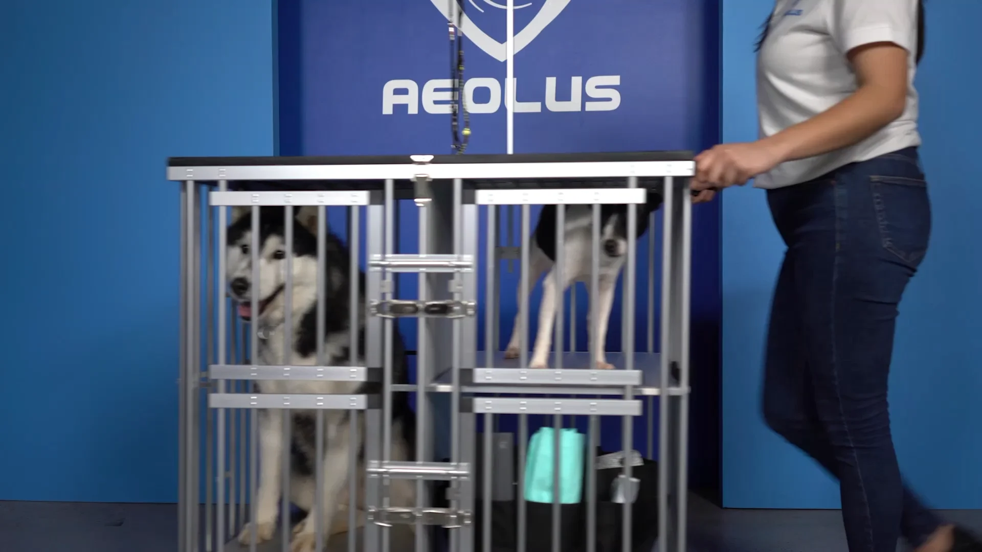 Dog Folding Trolley Aluminum Outdoor Pet Show Travel Dog Folding ...