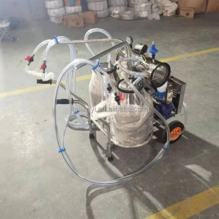 Automatic Cow Milking Machine For Dairy Equipment Available For Sale ...