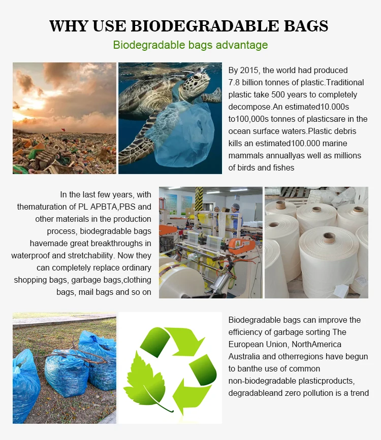 Biodegradable Zipper Bags - Sustainable Packaging Solutions