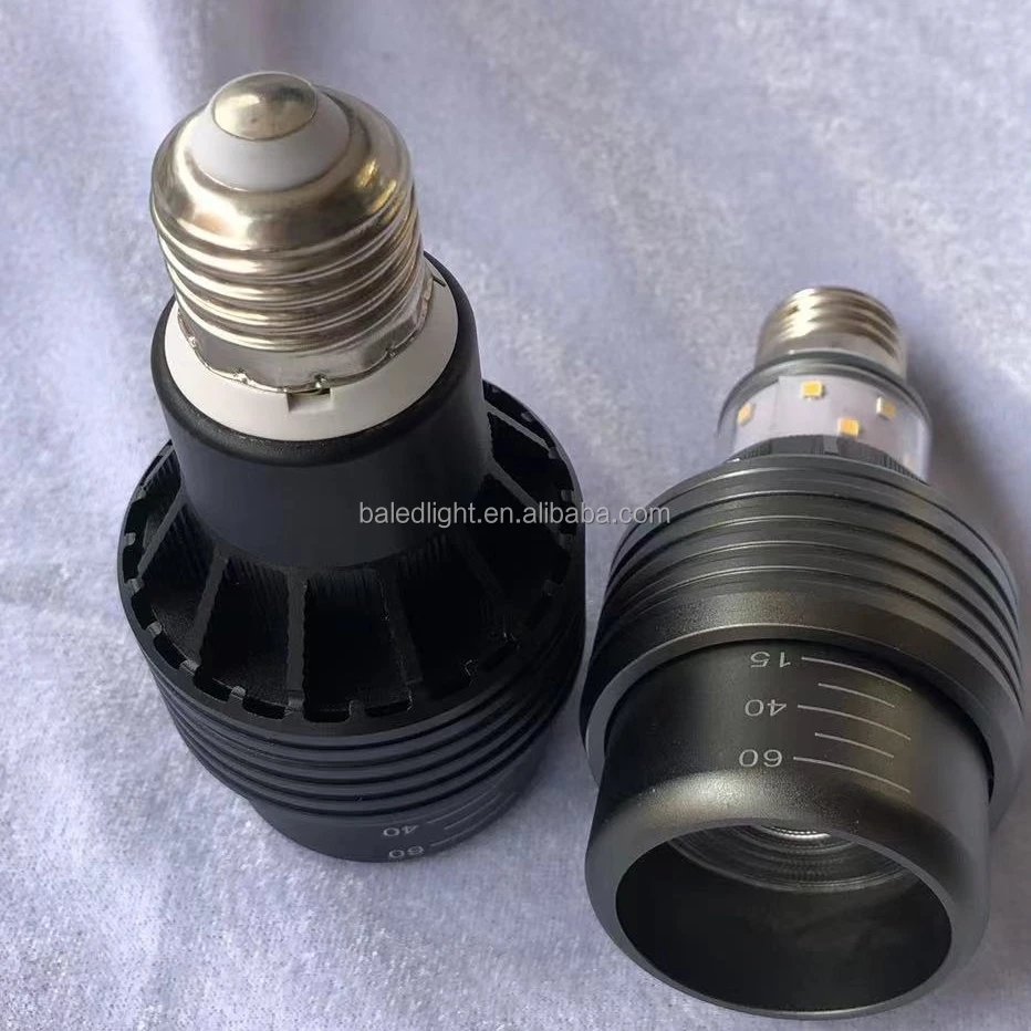 Par20 LED Bulbs - Versatile 12V and 24V Lighting Solutions