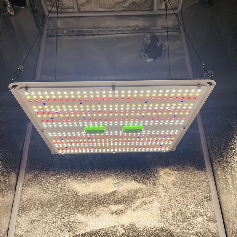 Kingbrite 150W LED Grow Light - Samsung LM301H Evo+epistar 660nm UV IR