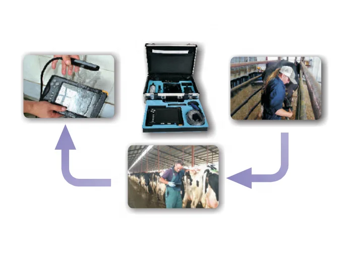 Cattle Sheep Ultrasound Machine Horse Ultrasound Portable Medical ...