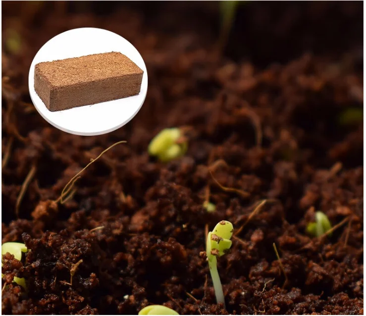 Virgin Raw High Temperature Compressed Natural Coconut Shell Fiber ...