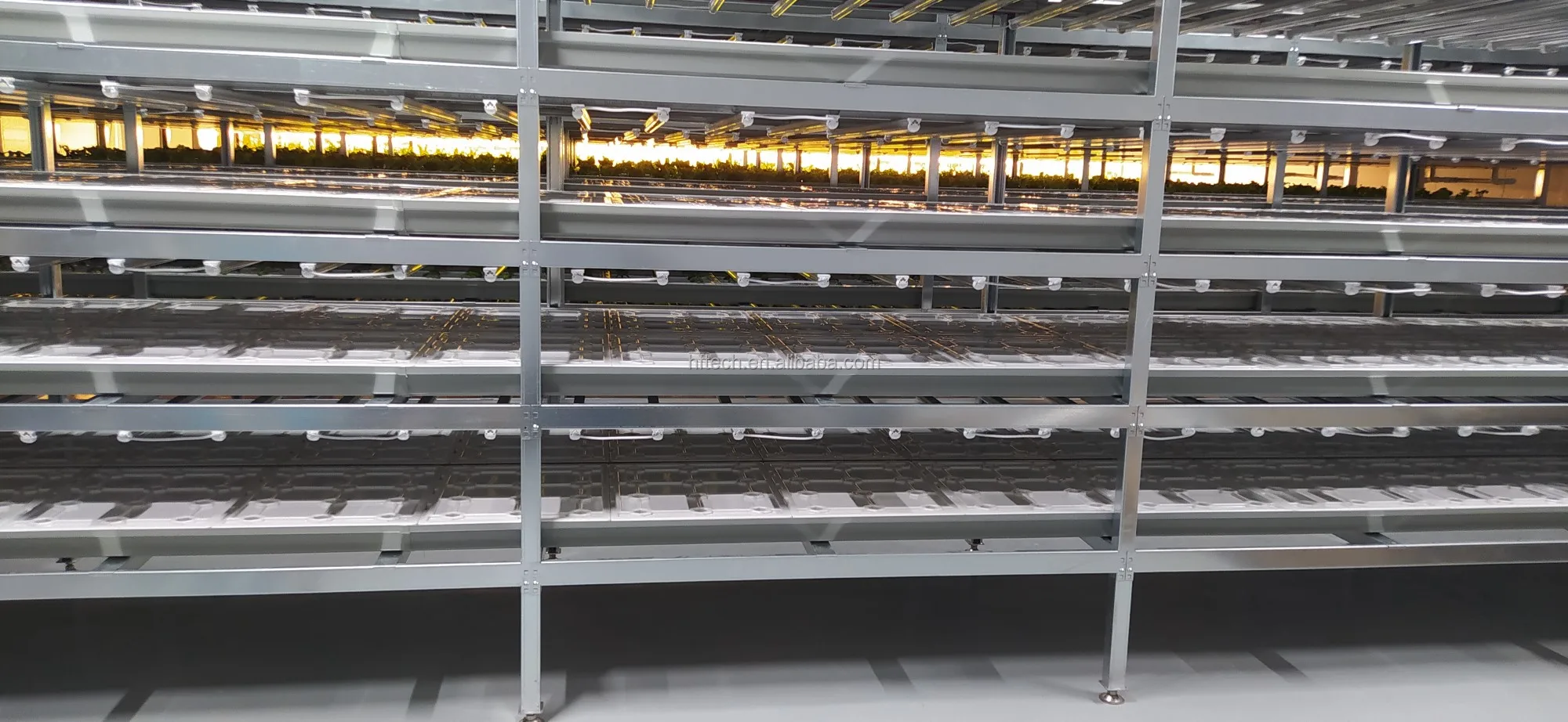 Abs Plastic Ebb And Flow Hydroponic Modular Grow Tray For Vertical ...