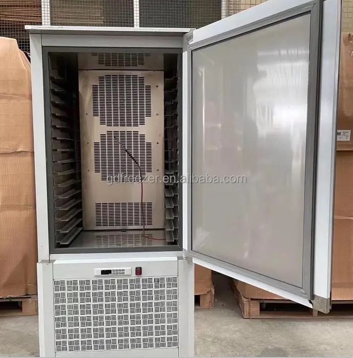 10 Pans Chicken Fish Blast Frozen Freezer Machine Chiller Commercial ...