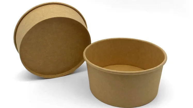 Biodegradable Food Container Noodle Rice Salad Bowl Soup Bowls Party