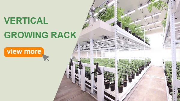 Vertical Grow Rack - Efficient Hydroponic Pot Plant System