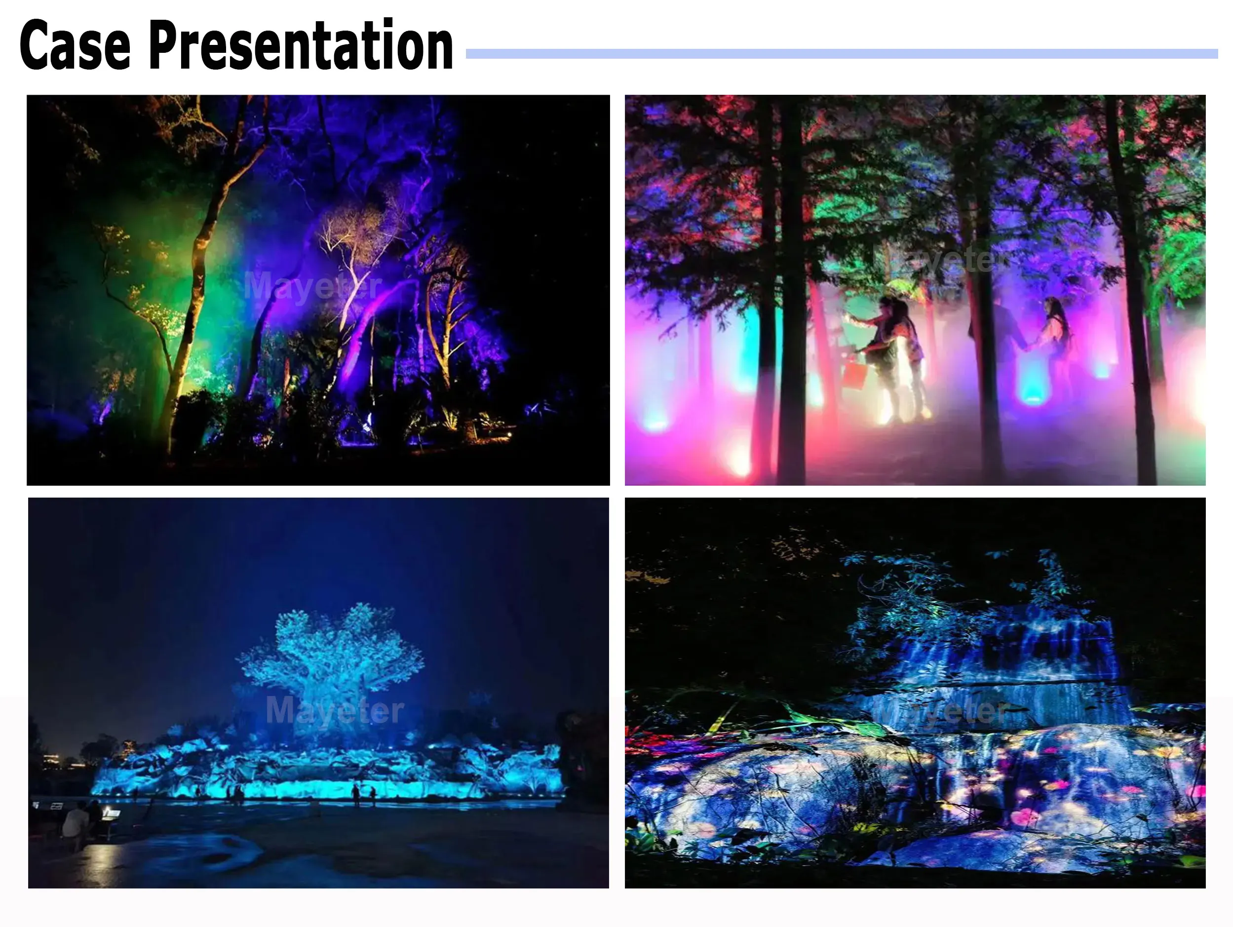 Immersive Outdoor Forest 3D Mapping with Interactive Projector