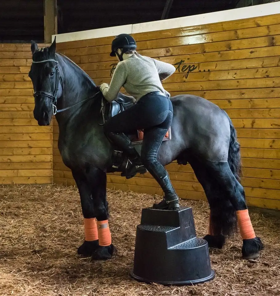 Yellow Industrial Safety Horse Racing Steps | Horse Mounting Block With ...
