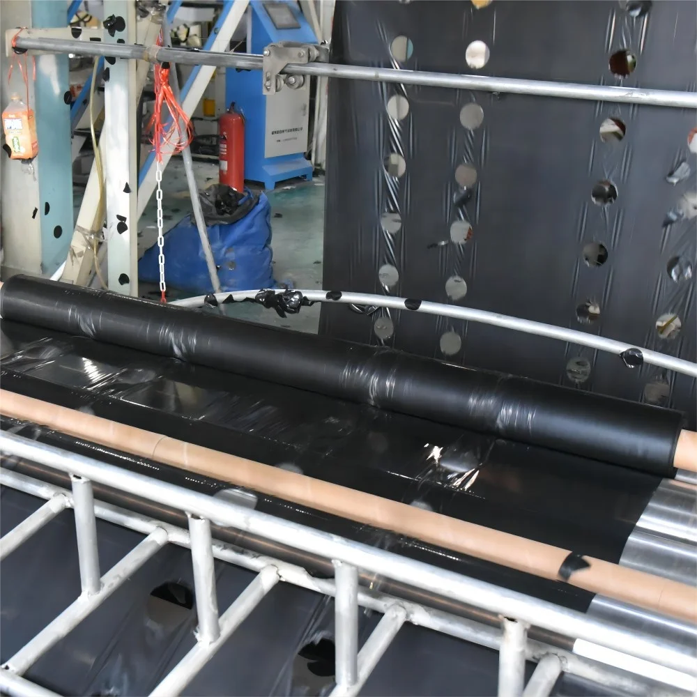 Uv Mulch Film Black/silver Plastic Agricultural Mulch Film - Buy Uv ...