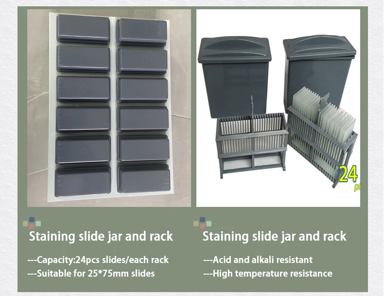 Roundfin Pathology Histology Slides Staining Rack - Buy Histology ...