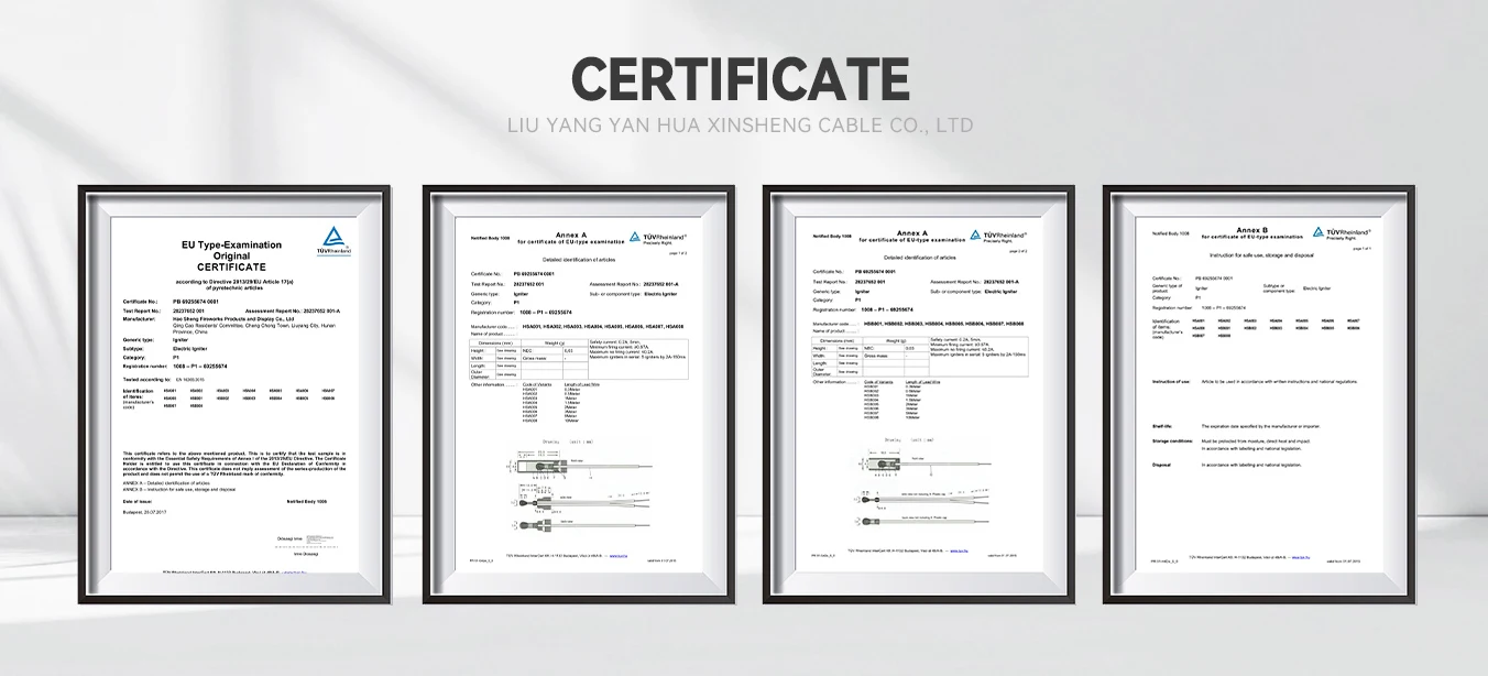 8-Channel Cold Pyrotechnics Remote Control Ignition Machine Plastic ...