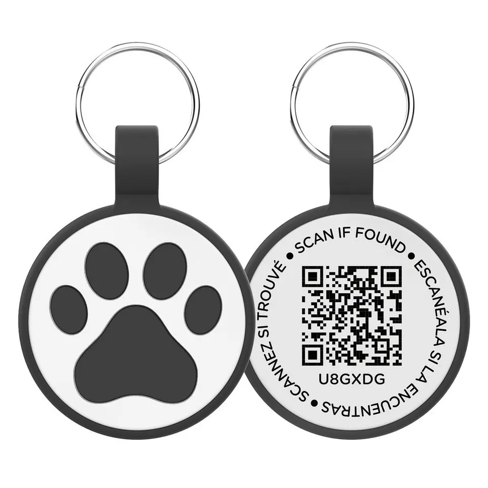 Company Overview - Guangzhou PawView Pet Technology Co., Ltd