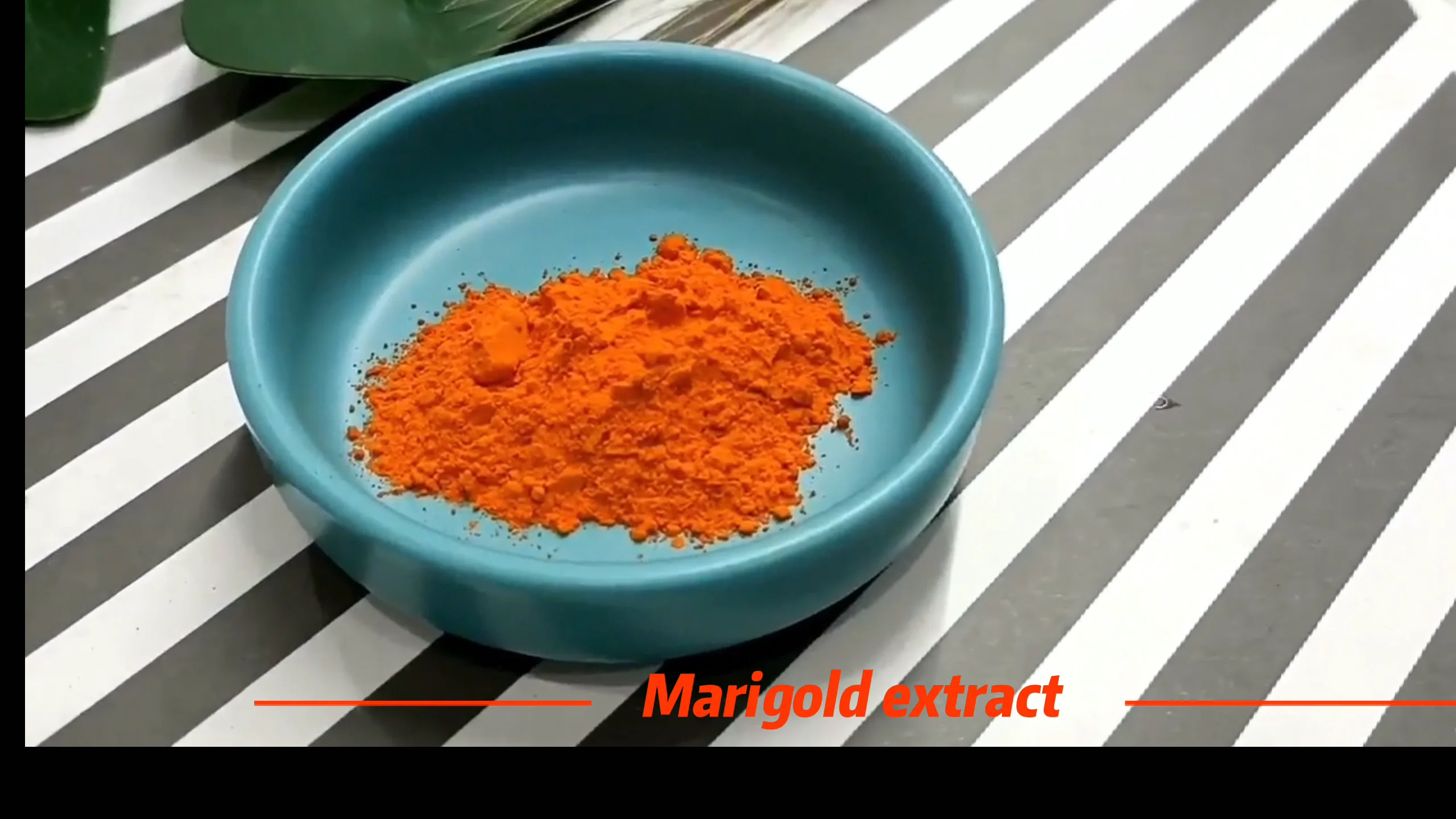 Pure Natural Marigold Flower Extract Lutein Zeaxanthin Powder - Buy ...