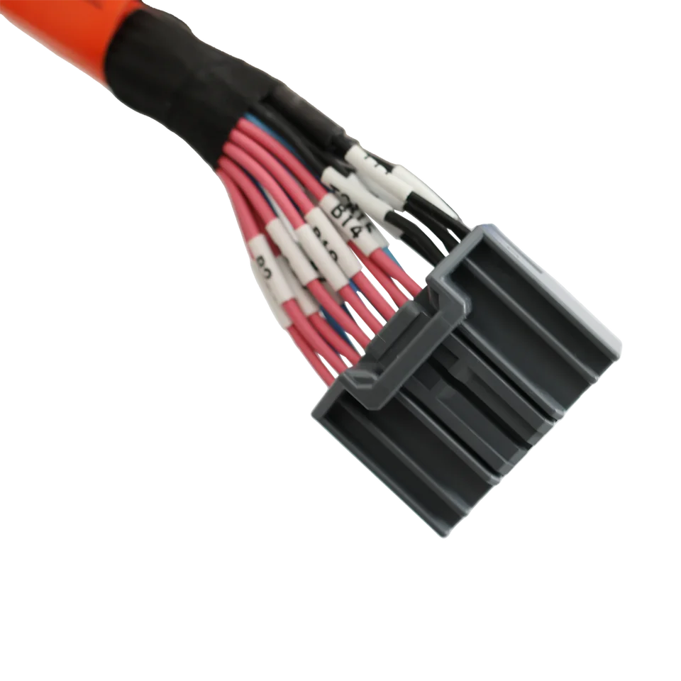 Customized Prismatic LFP Battery Cells - 1P4S to 2P8S