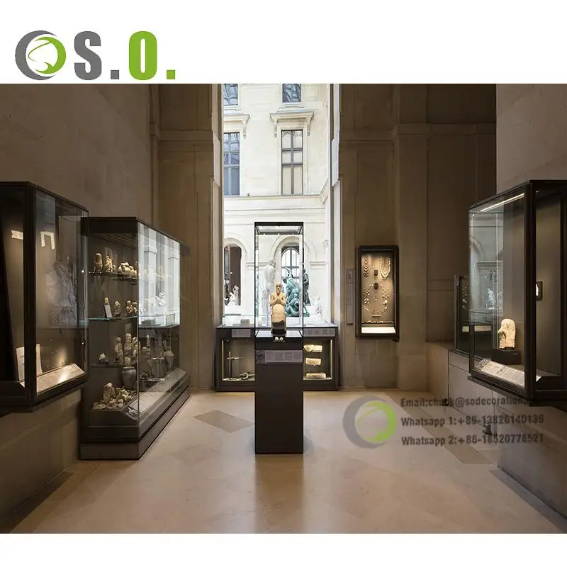 Metal Frame Display Cabinet - Stylish Museum Showcase