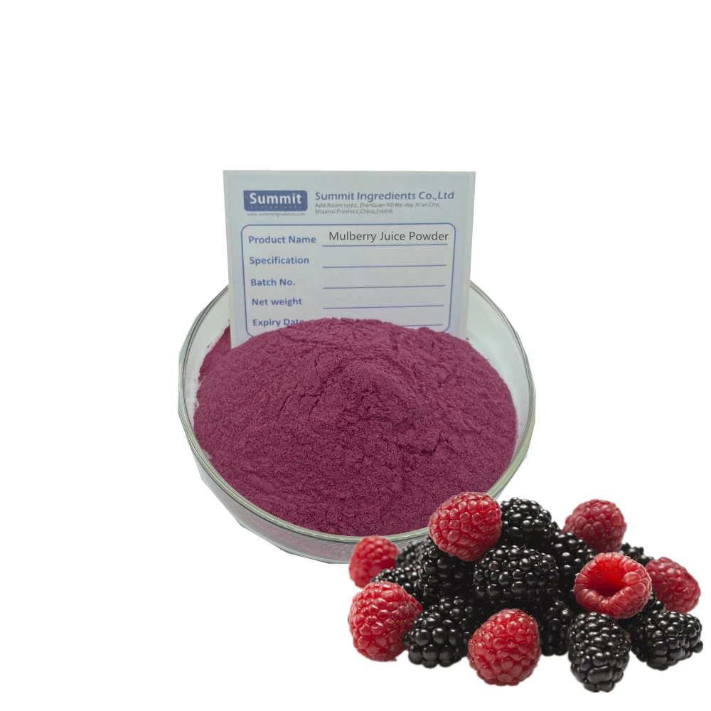 High Quality Mulberry Fruit Powder - Health Food Supplement