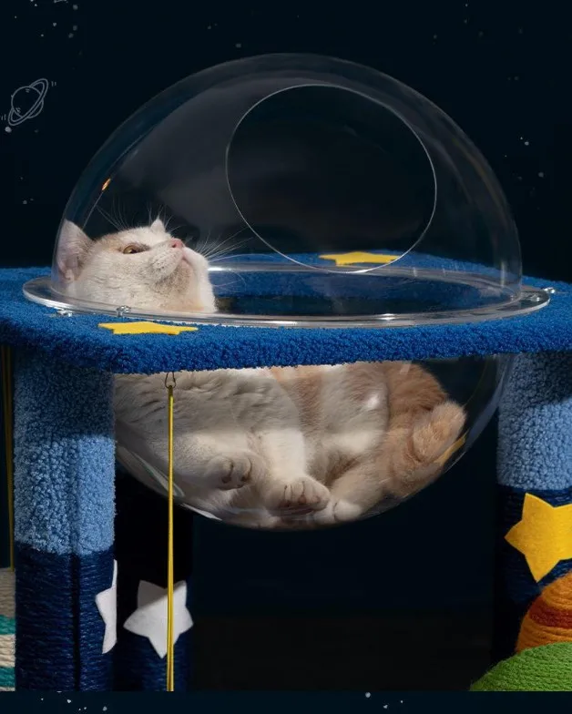 Star Pattern Cat Scratch Board Integrated Sisal Cat Scratcher Cat Toy ...