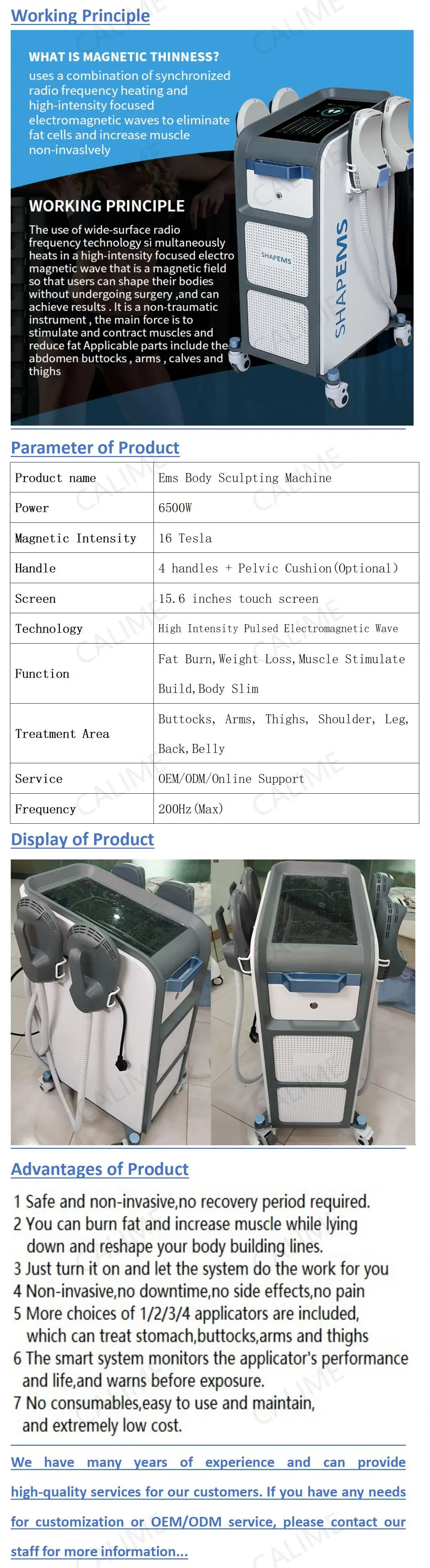 Newest Ems Rf Slim Machine 16 Tesla 6500w Muscle Stimulator Build Fat ...