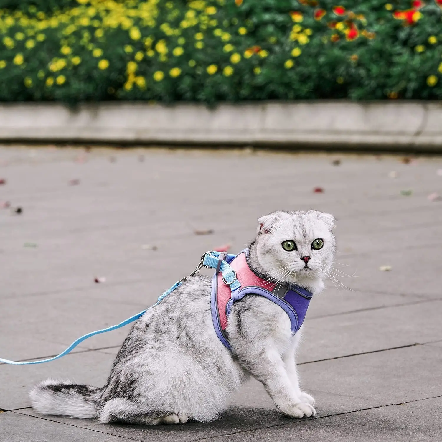 Reflective Cat Harness Fashion Vest - Safe Outdoor Walking