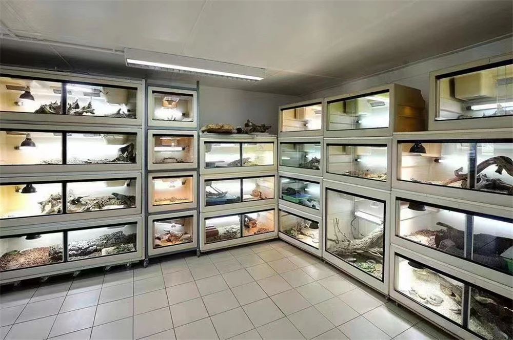 Pvc Arboreal Enclosures Reptiles Display Box Pp Tree-dwelling Rack ...