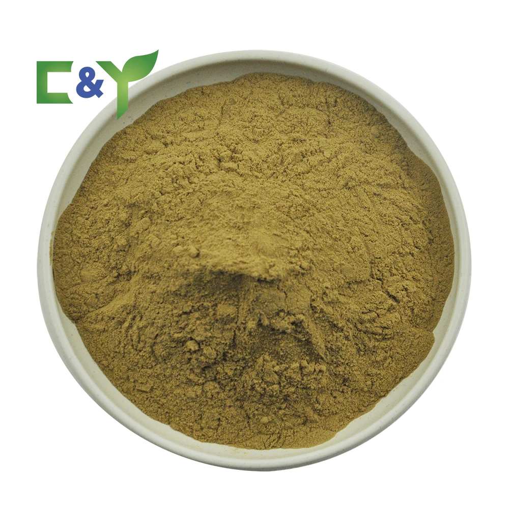 Spongilla Spicules Powder - Global New Flavoured Extract