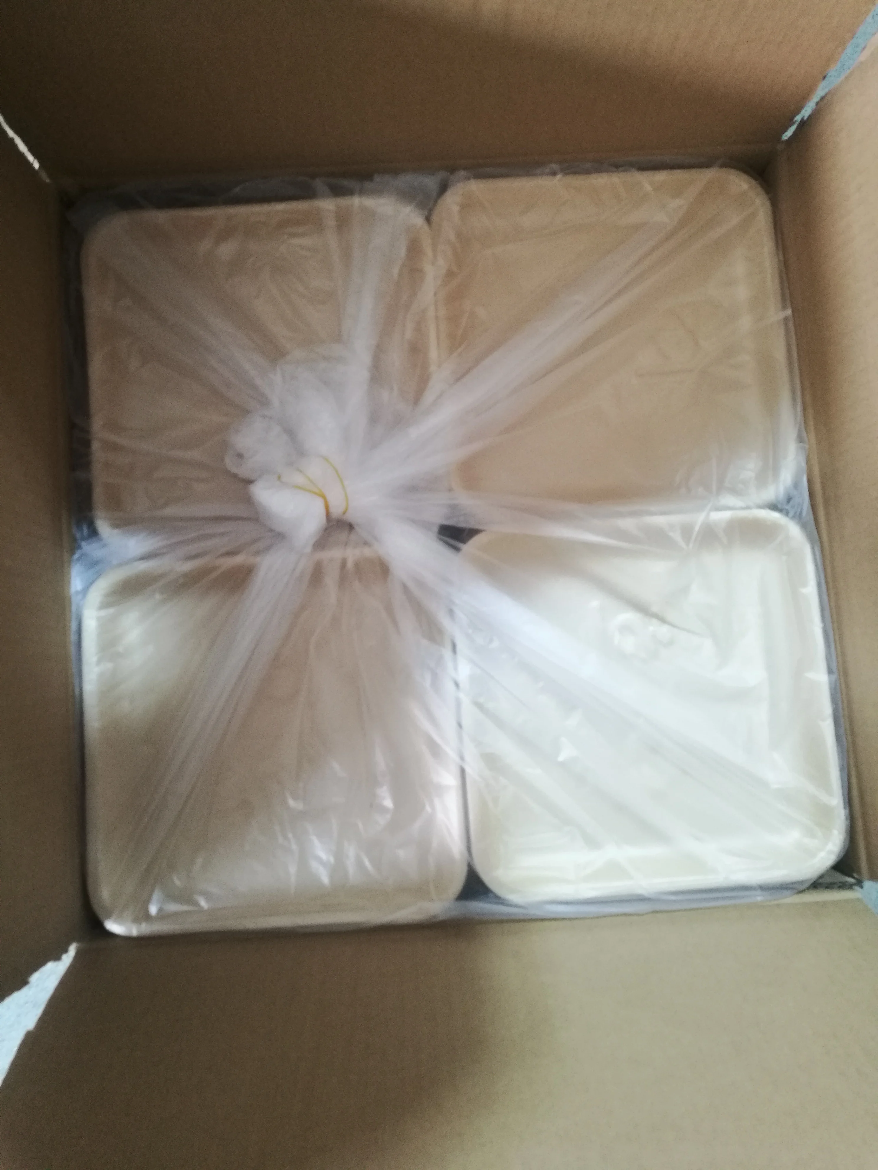 Ps Pla Bagasse Disposable Buffet Presentation Plastic Food Tray For ...