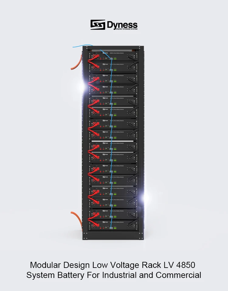 Dyness Lv1 Rack Mount Battery - 48V 50ah to 100ah Capacity