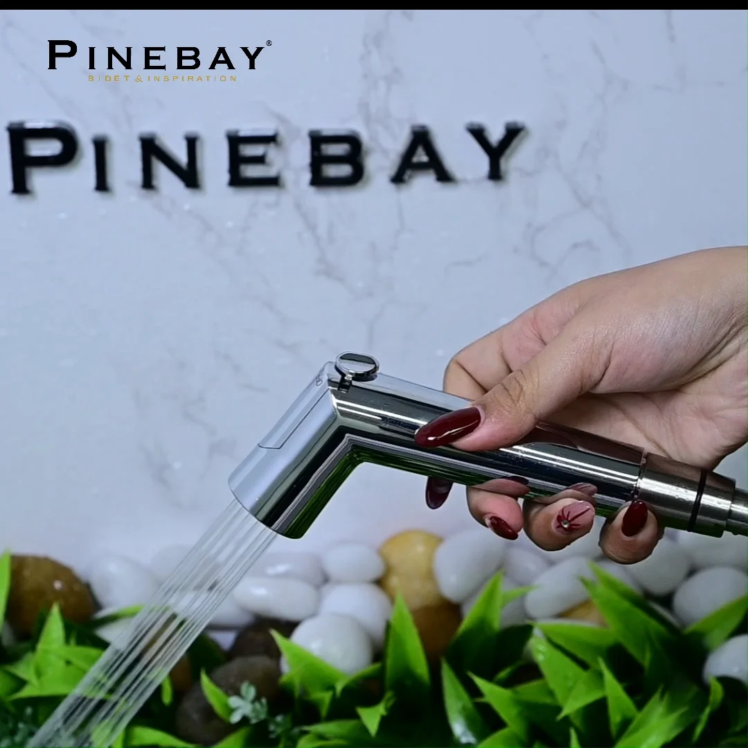 Pinebay 2024 Modern Abs Personal Hygiene Care Bidet Sprayer Bathroom ...