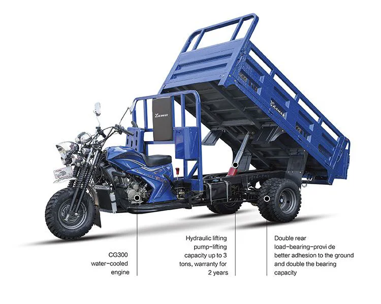 250CC Water Cooling Customized Double Wheel 5 Wheel Motorcycle Double ...