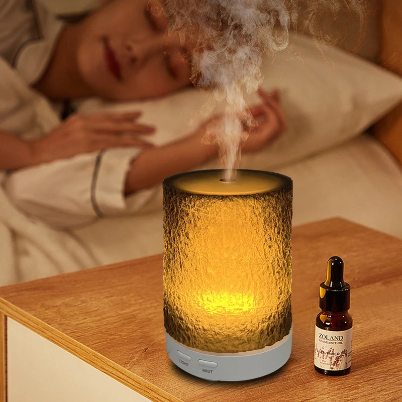 H2o Spray Mist Maker Double Wet Fogger Aroma Diffuser Essential Oil Car ...