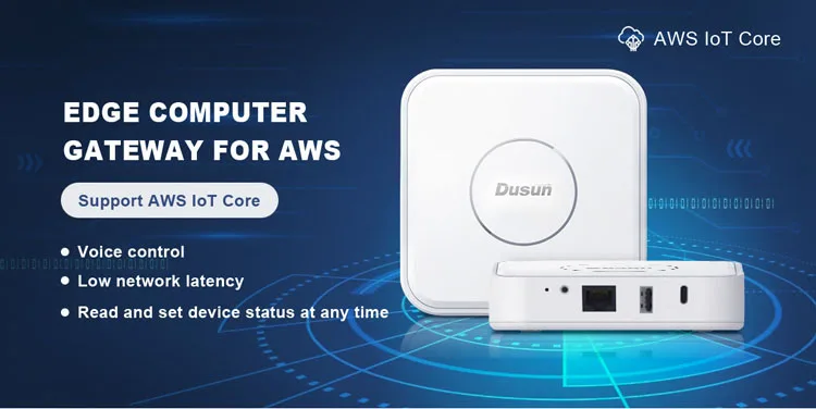 Dusun Raspberry Pi Aws Iot Core Edge Computer Gateway With Multiple Protocol Zigbee Ble Wiifi Z ...