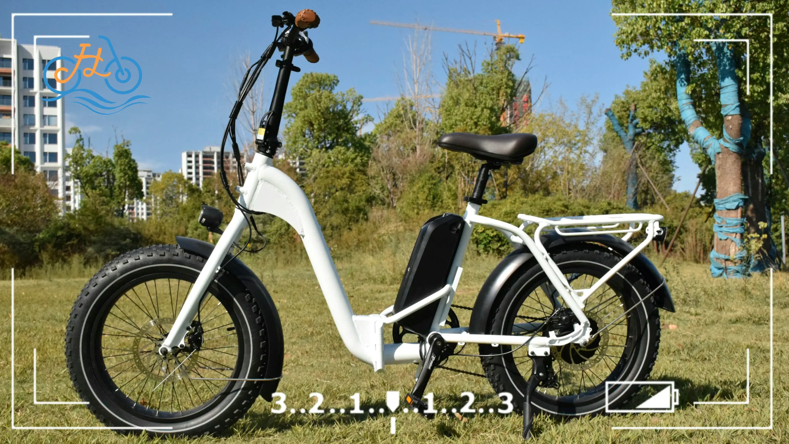 Raider Cargo 20inch Step-through Frame Dual Battery Folding Electric ...