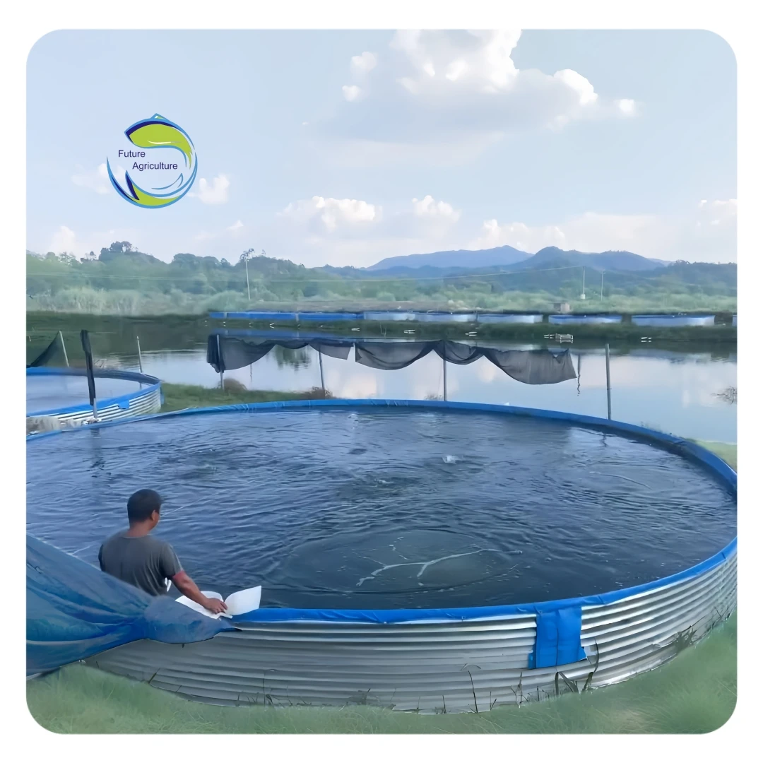 High Density Fish Farming Tank Aquaculture Fish Tank High Quality Fish ...