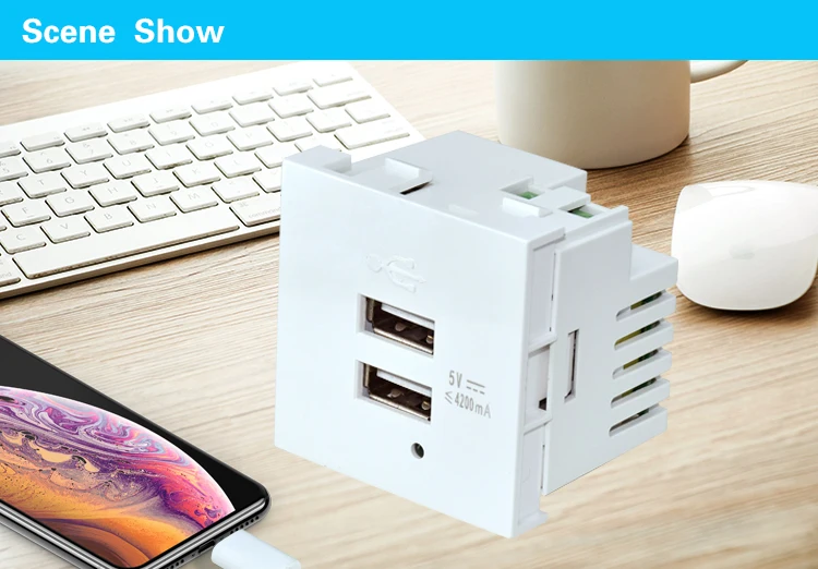 NEPCI 45x45 Mm 5V 4.2A USB Power Socket Outlet - Dual Ports