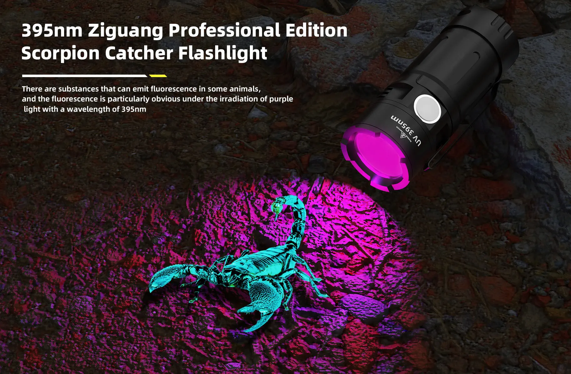 Stainless Steel Mini Flashlight LED 395 Flashlight Ultra Violet Light ...